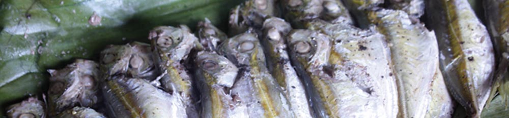 Northern Dispatch | Makan a la Pinoy: Liningta nga ikan