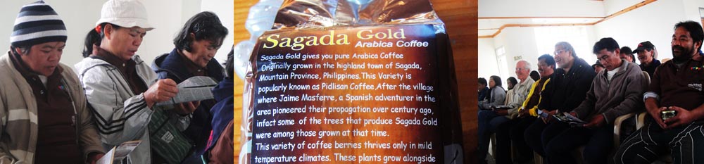 Northern Dispatch | Coffee Arabica is fast becoming a Sagada gold