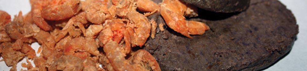 Northern Dispatch | Makan a la Pinoy: Dinailan