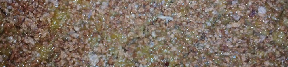 Northern Dispatch | Makan a la Pinoy: Biko