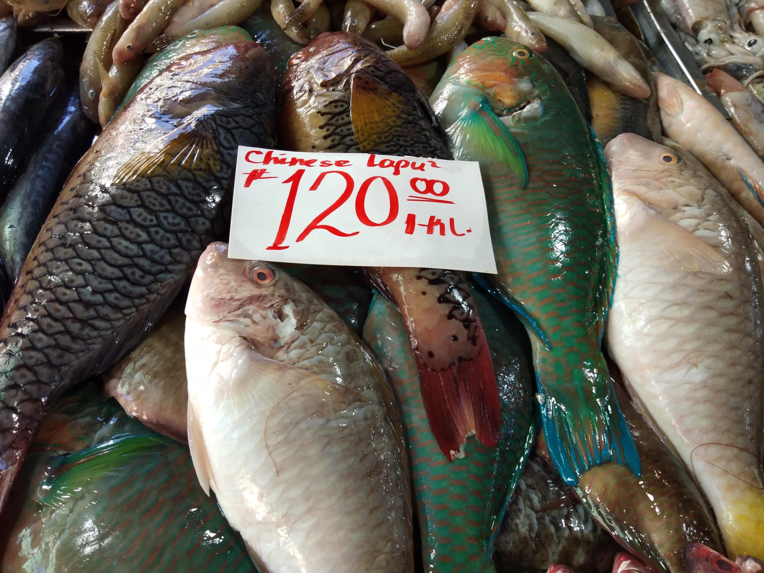 Northern Dispatch | Makan ala Pinoy: Sarsiado a daing a mol-mol