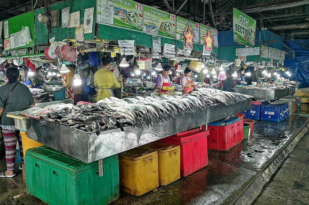 Northern Dispatch | Opposition rises as city veers towards corporate ...