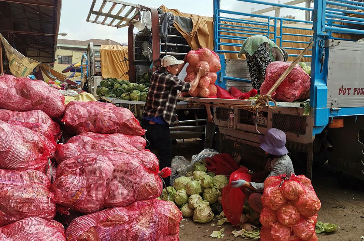Northern Dispatch | COVID surge steals Holiday joy of Benguet vegetable ...