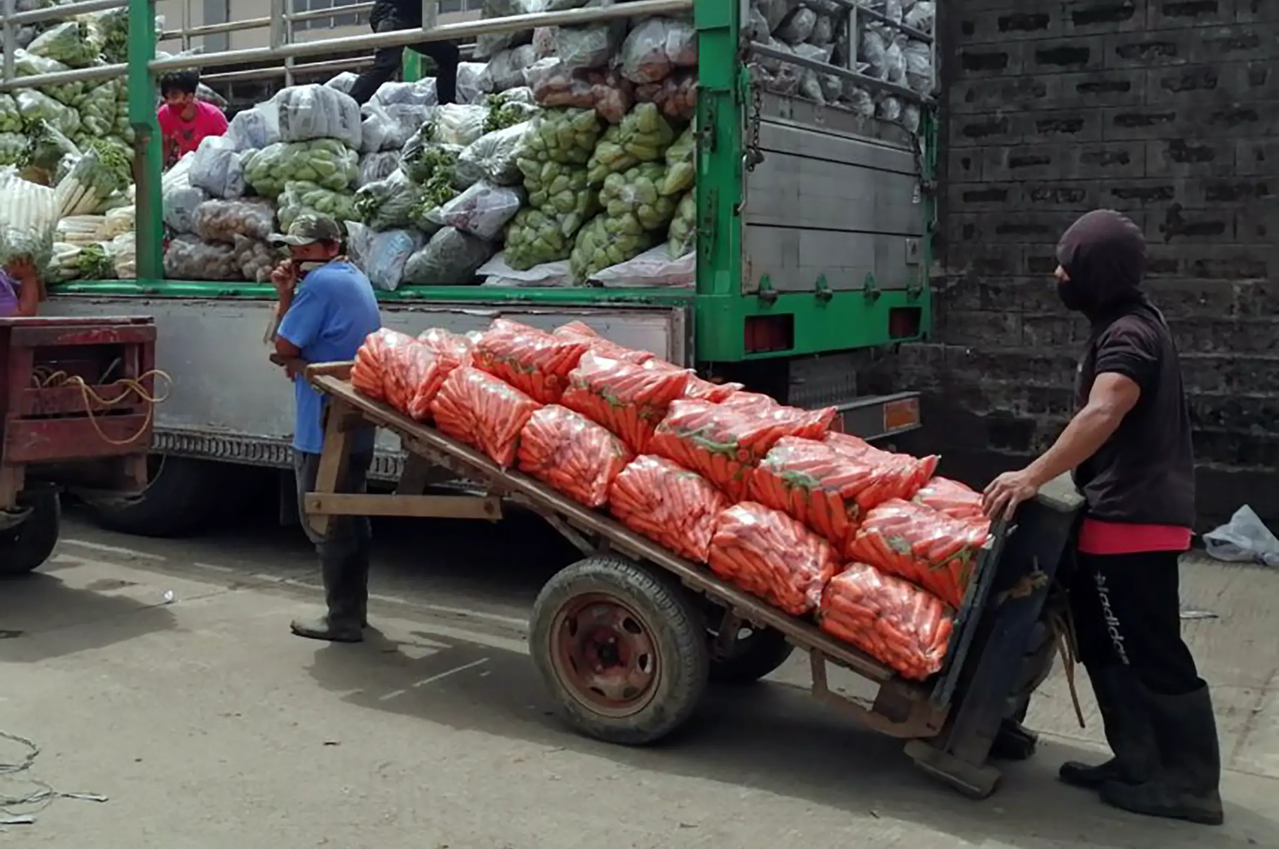 Northern Dispatch | News | Cordillera farmers hit by carrot price ...
